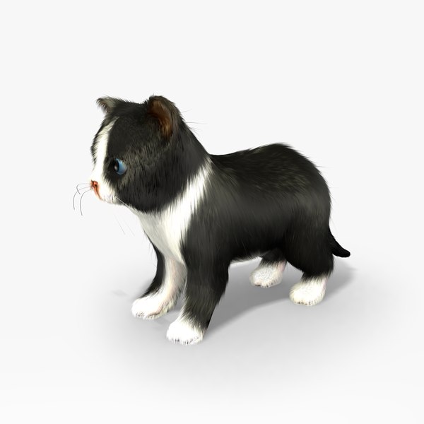 3d kitten animations rig