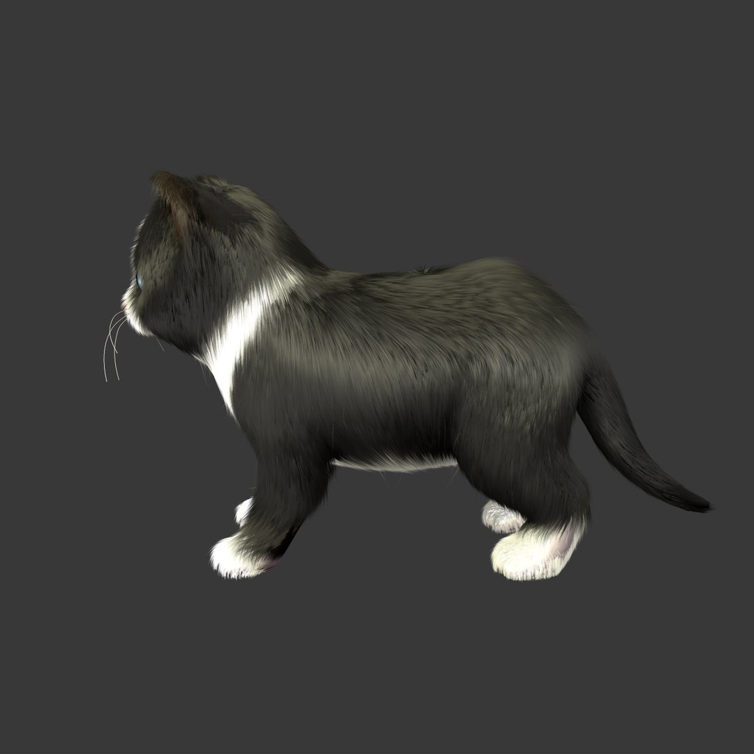 3d Kitten Animations Rig