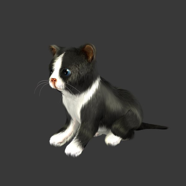 3d kitten animations rig