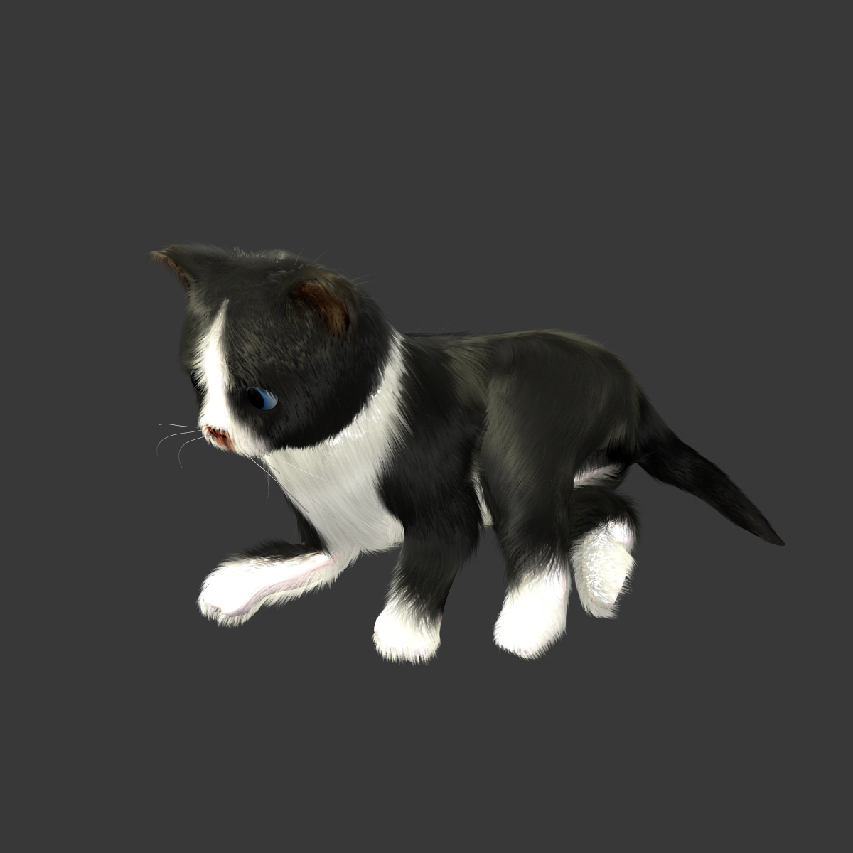 3d kitten animations rig