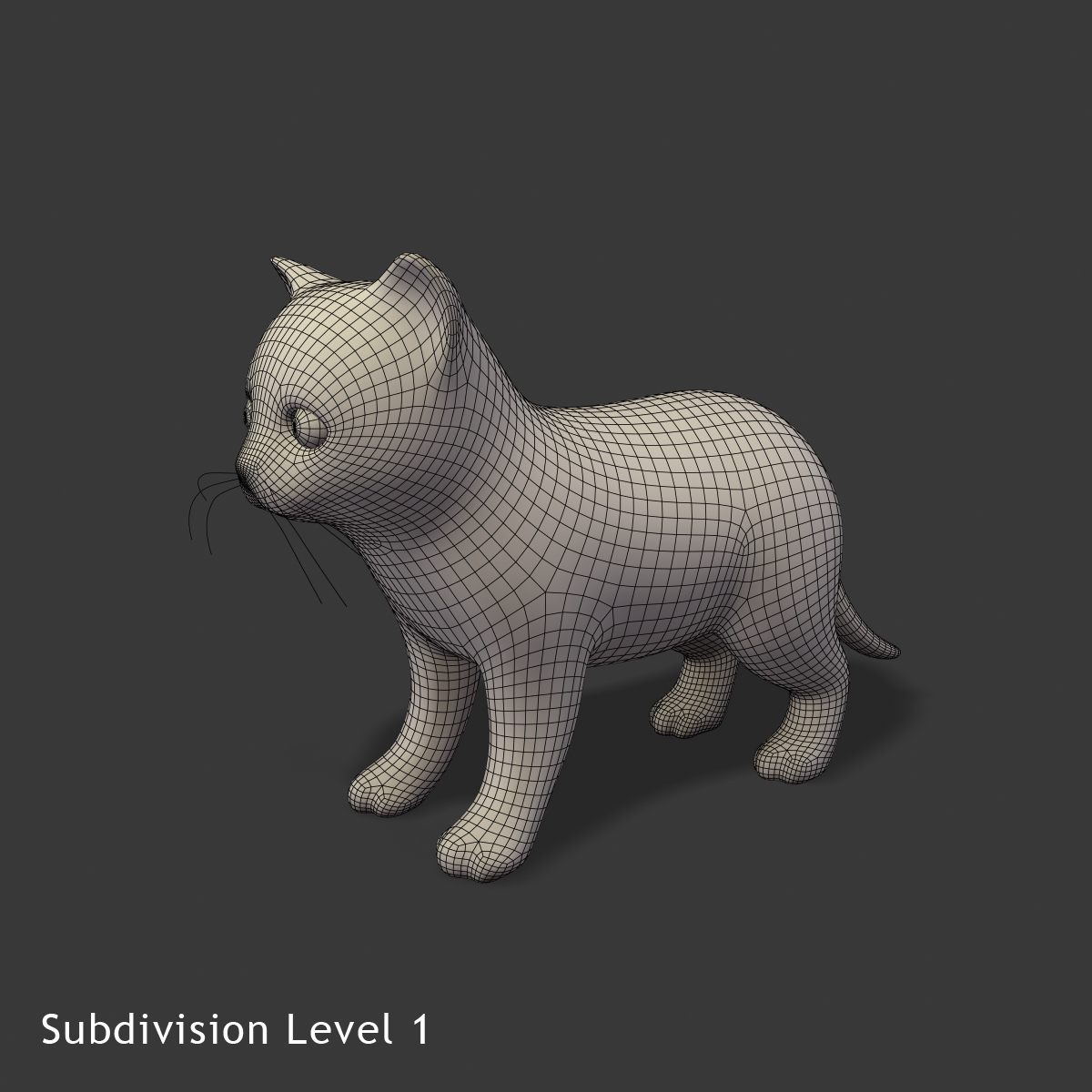 3d kitten animations rig
