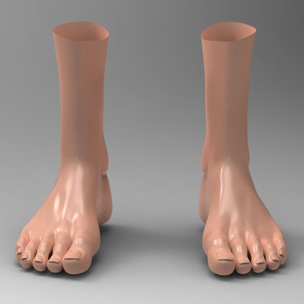 3d model female feet hand combo