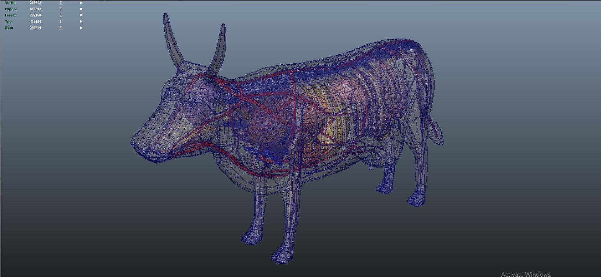 3D Cow Digestive System Anatomy Model - TurboSquid 2328060