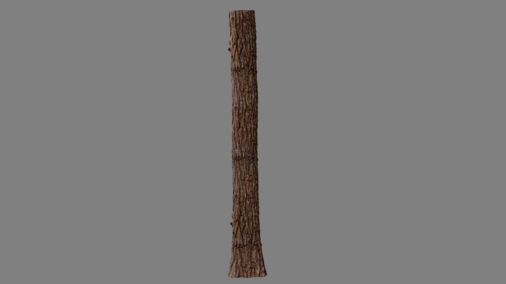 Pine Bark PBR Tiled Texture 8K 3D Model - TurboSquid 2243370