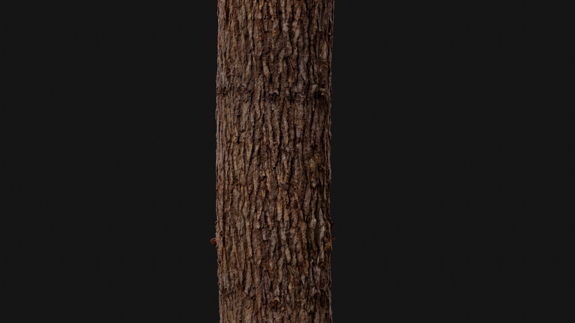 Pine Bark PBR Tiled Texture 8K 3D Model - TurboSquid 2243370