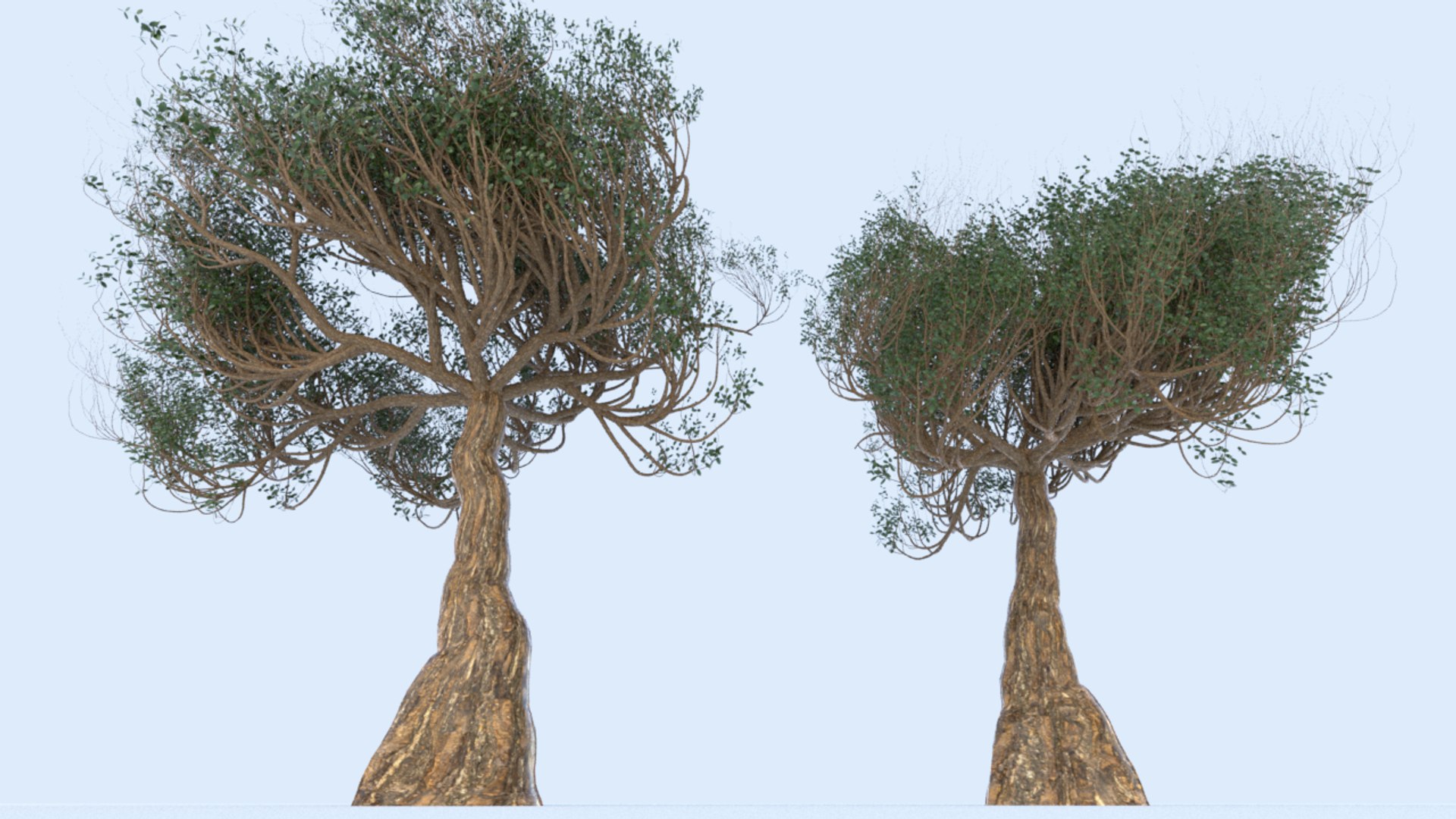 Tree Model - TurboSquid 1645118