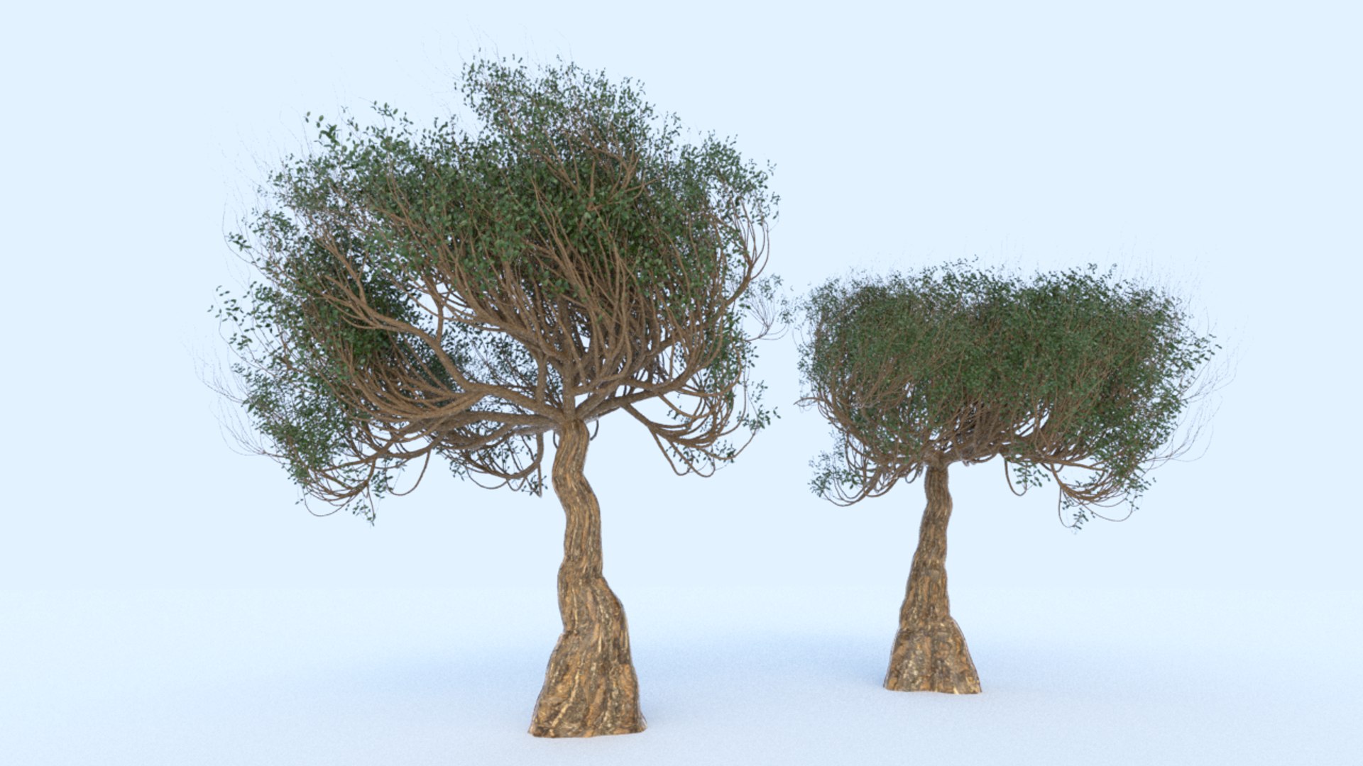 Tree Model - TurboSquid 1645118