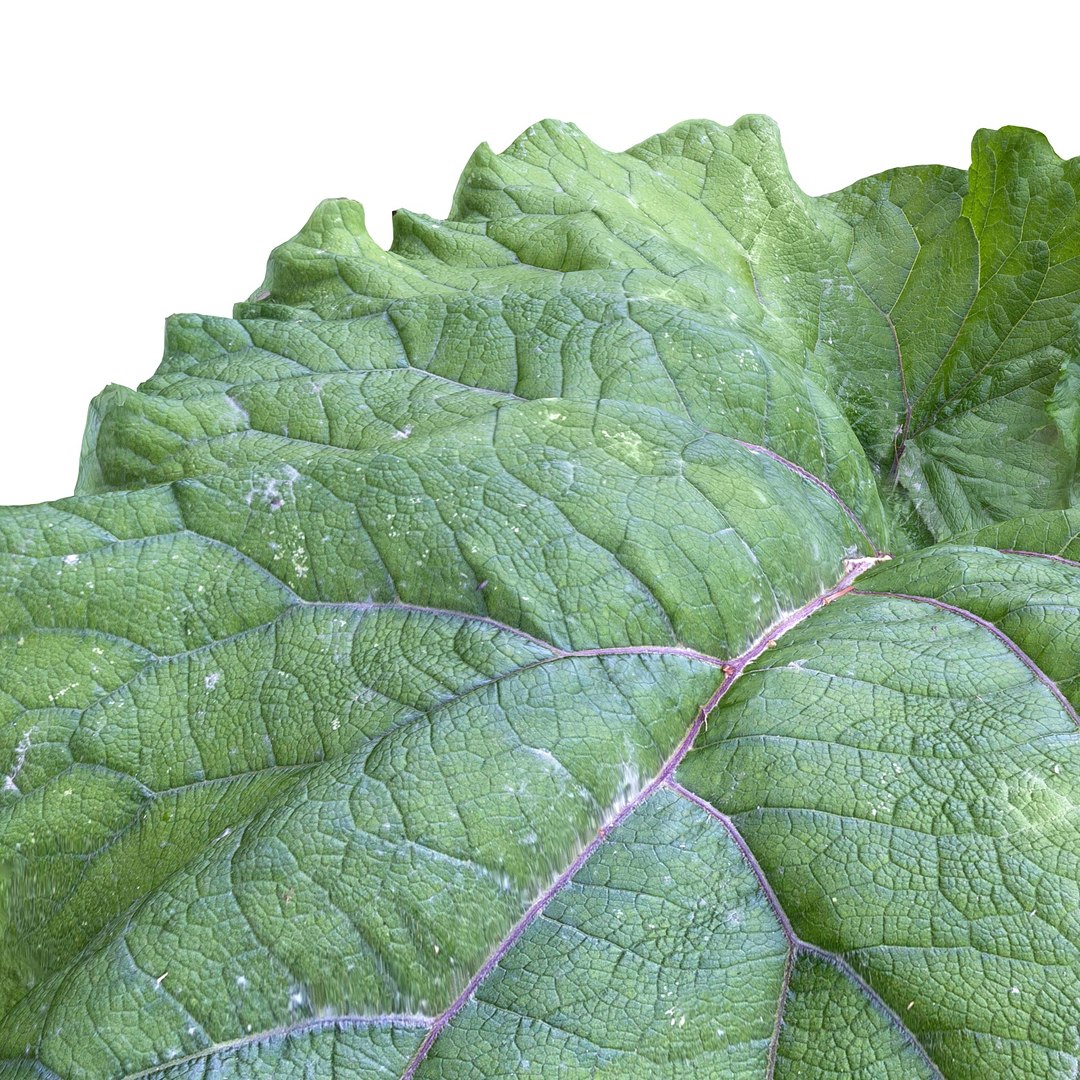 3d Ultra Hd 8k Model