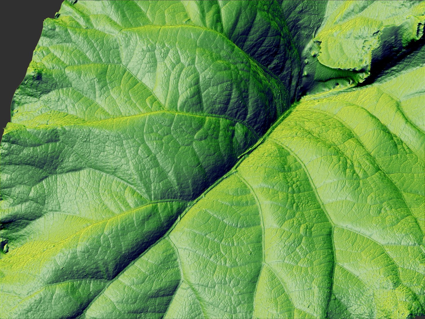 3d Ultra Hd 8k Model