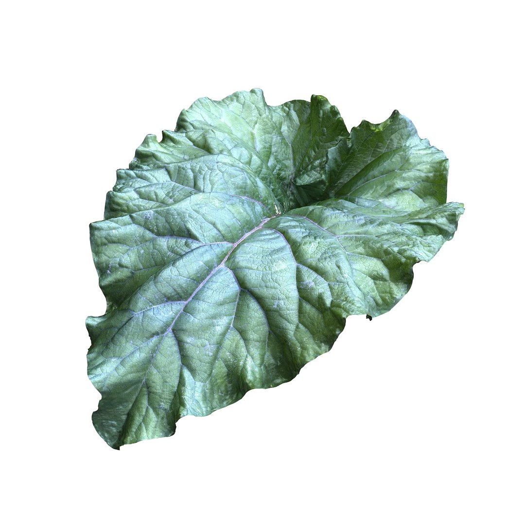 3d Ultra Hd 8k Model