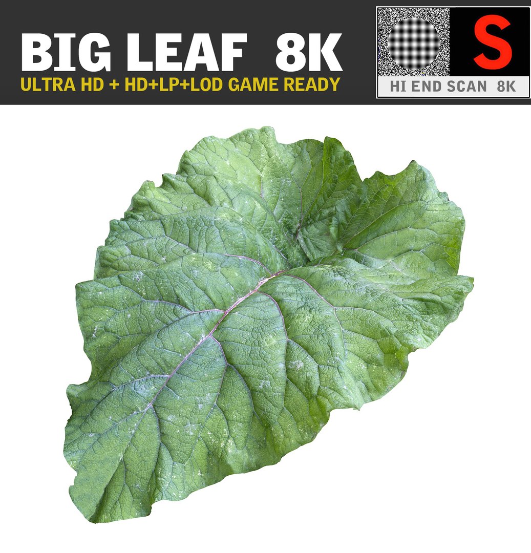 3d Ultra Hd 8k Model