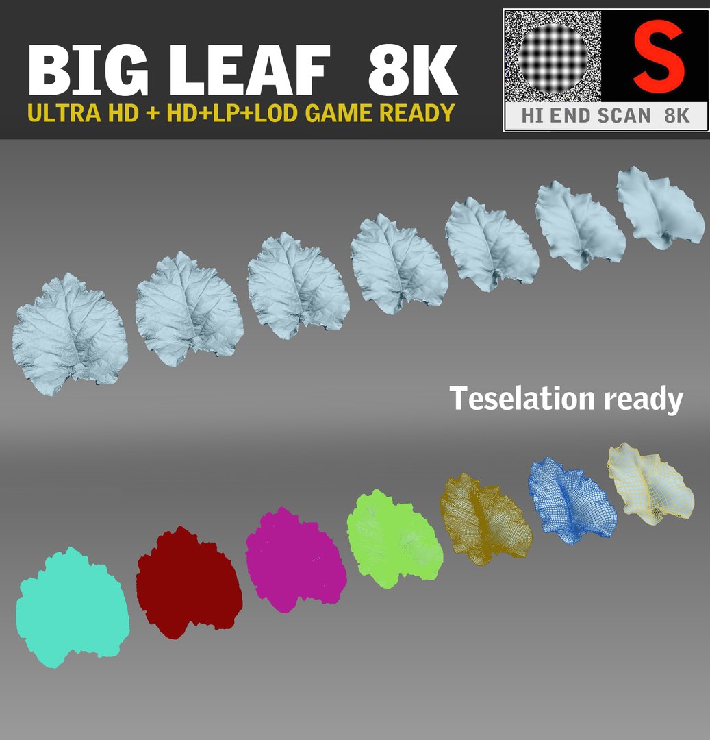 3d Ultra Hd 8k Model