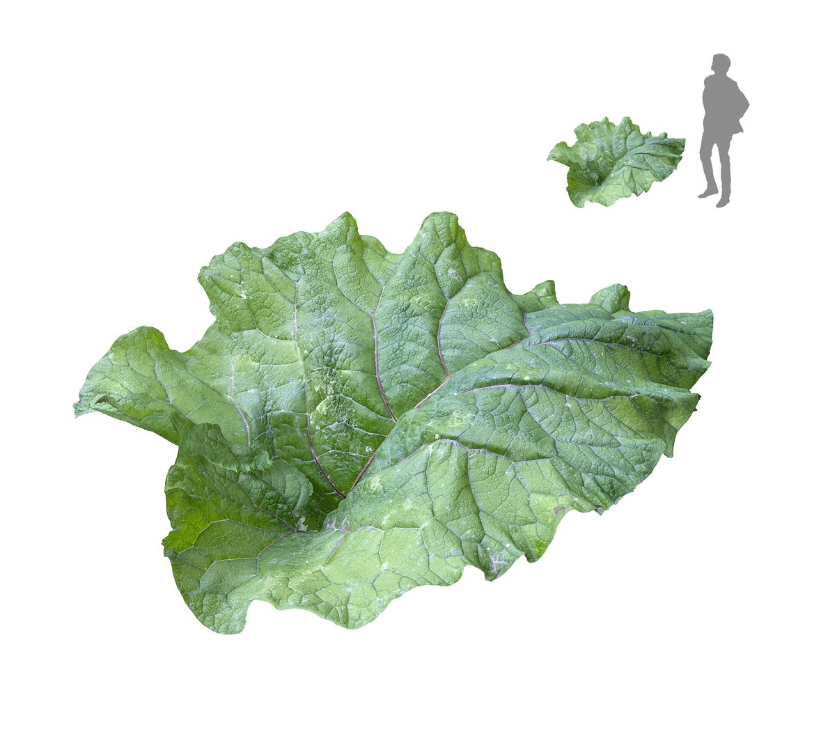 3d Ultra Hd 8k Model