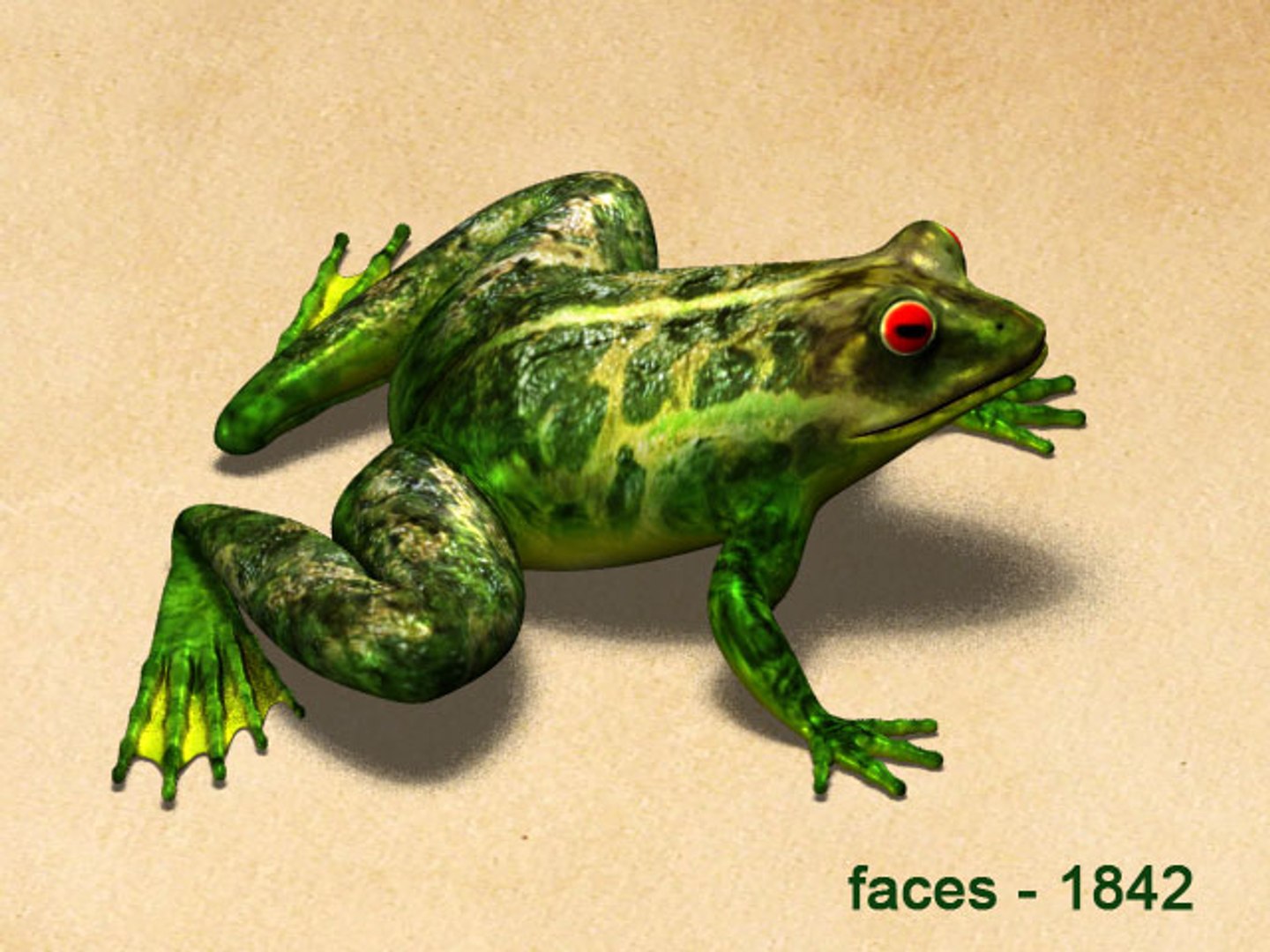 Frog Animation 3d Model