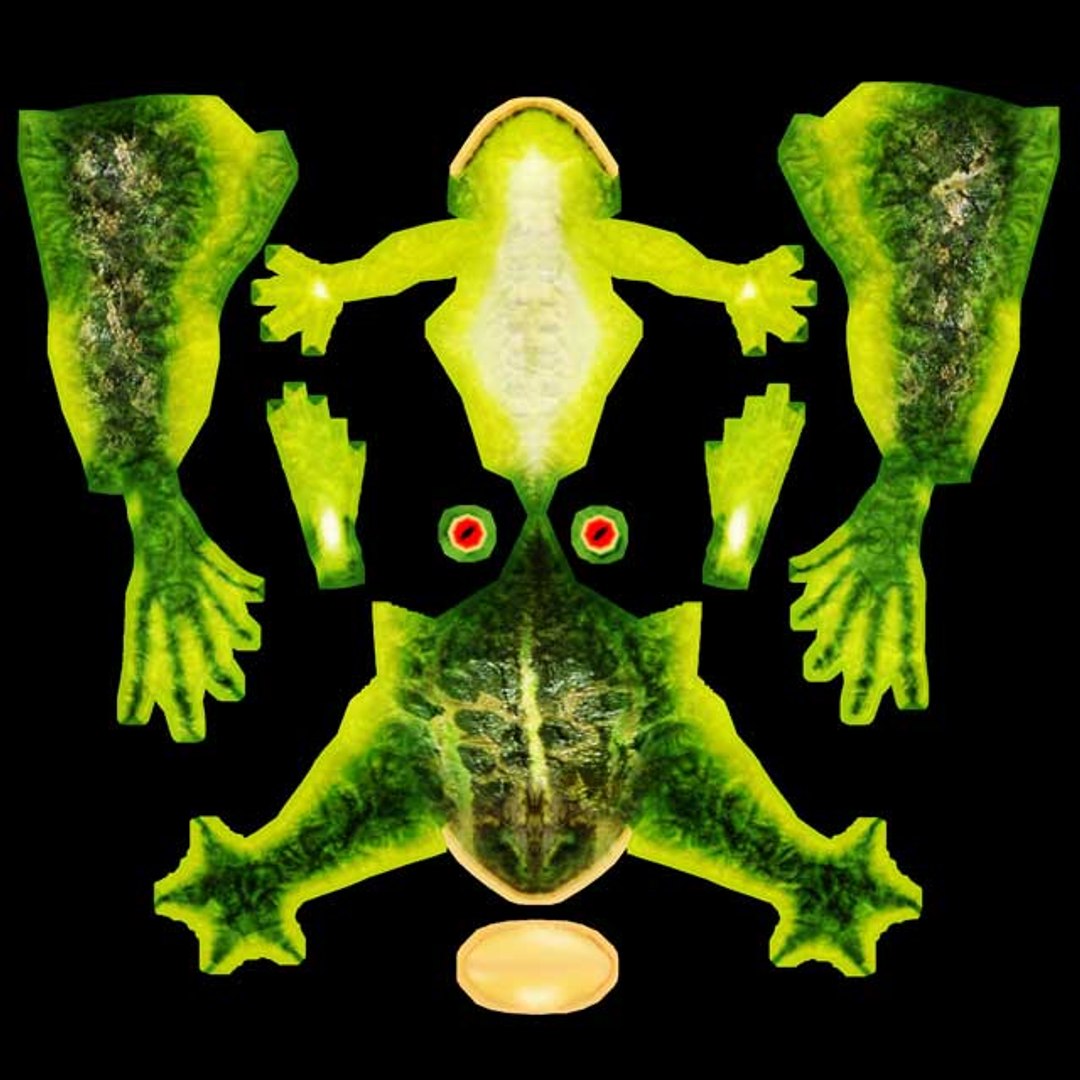 Frog Animation 3d Model