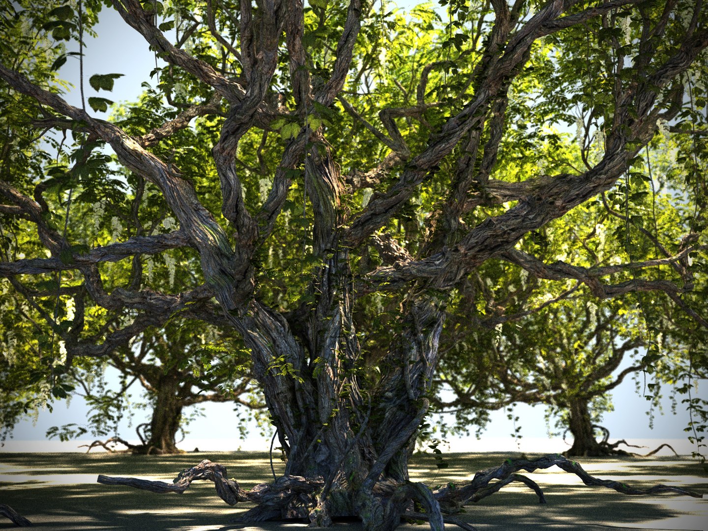 3D Tree Hd Model - TurboSquid 1286893