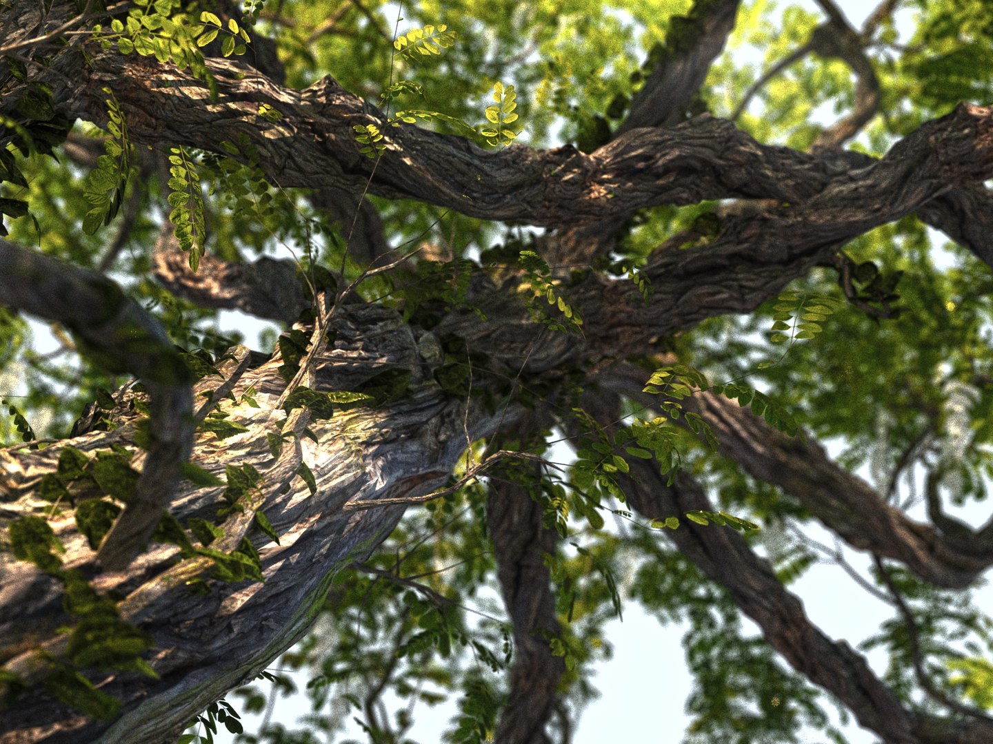 3D Tree Hd Model - TurboSquid 1286893