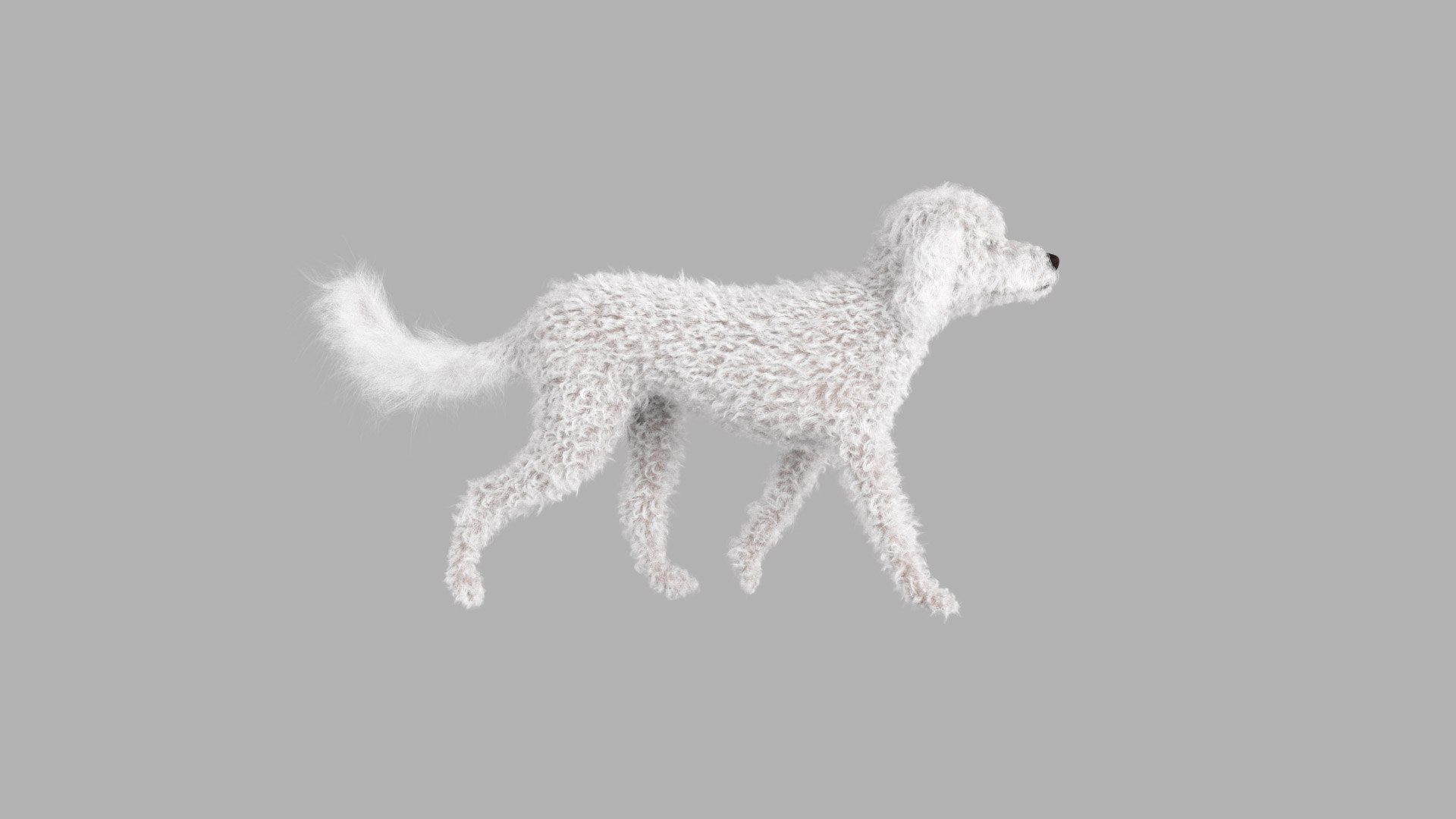 3D Retrodoodle Dog Fur Model - TurboSquid 2304428