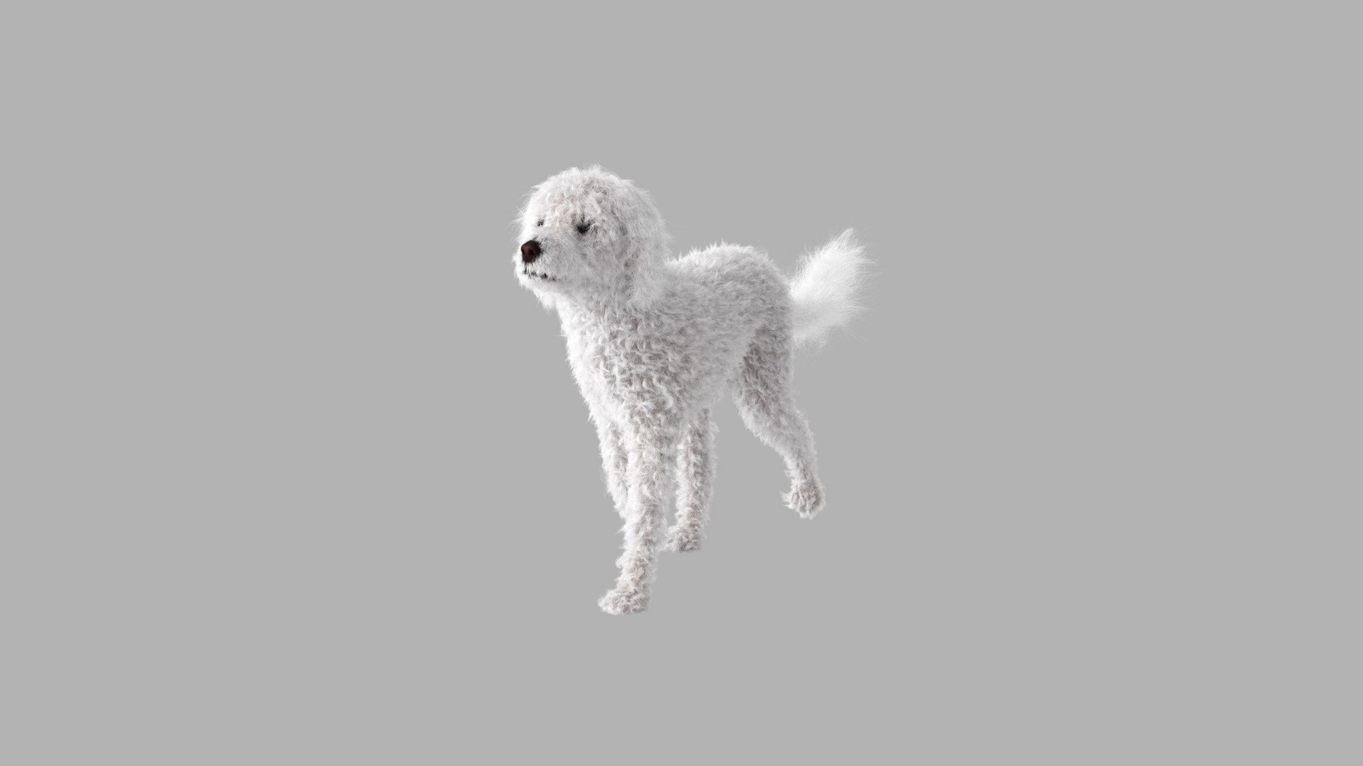 Retrodoodle 狗毛3D模型 - TurboSquid 2304428