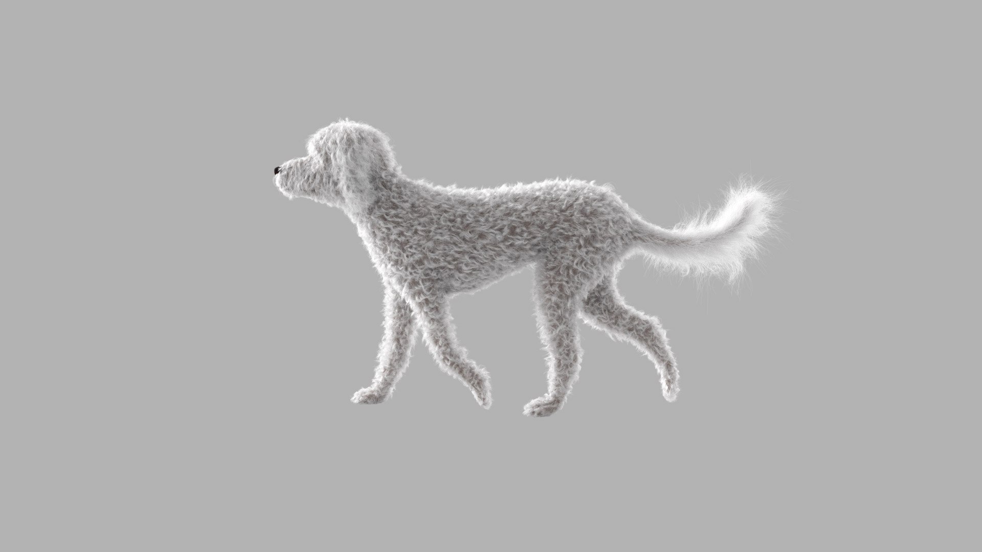 3D Retrodoodle Dog Fur Model - TurboSquid 2304428