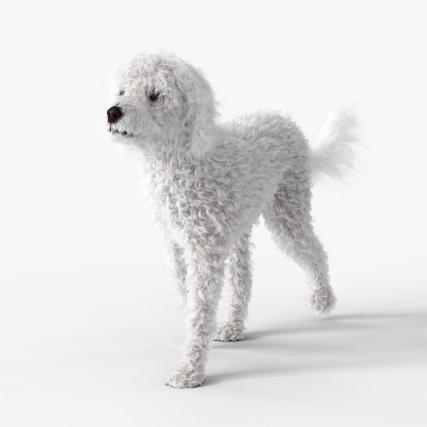 modelo 3d Pelaje de perro retrodoodle - TurboSquid 2304428