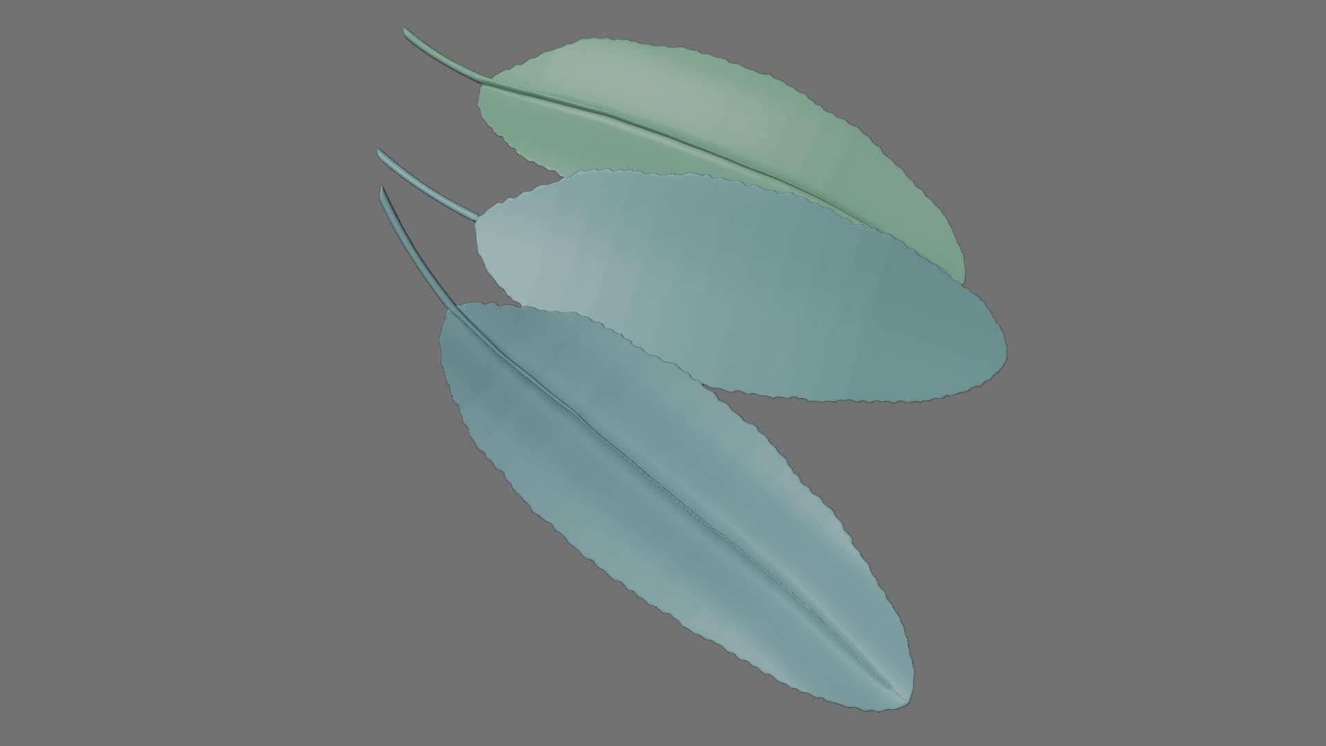Sage Leaf 3D Model - TurboSquid 1691613
