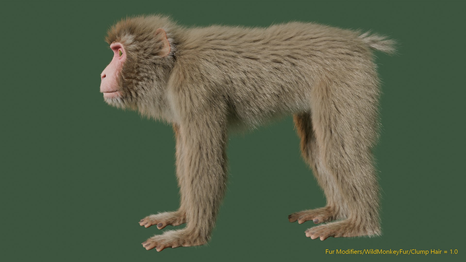 3D Wild Monkey Model - TurboSquid 2293351