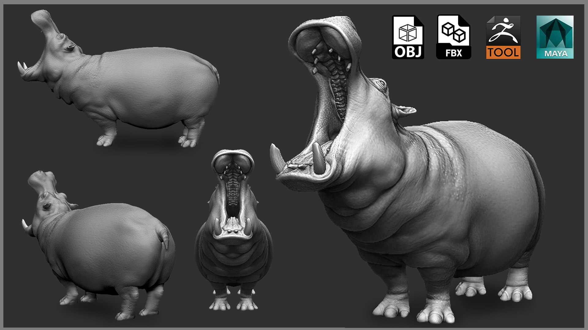 modelo 3d Hippopotamus 2 - TurboSquid 2096623