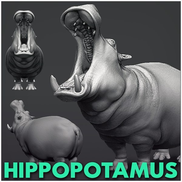 modelo 3d Hippopotamus 2 - TurboSquid 2096623