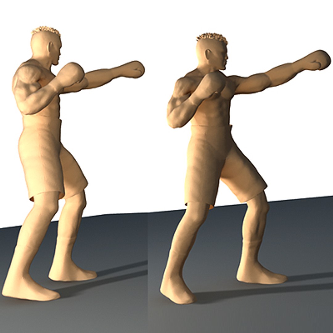 3d Model Boxer Box