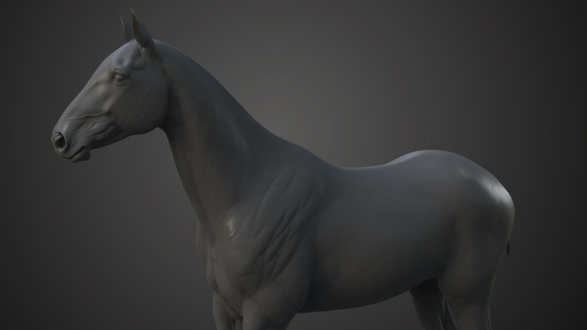 3D realistic horse - TurboSquid 1652911