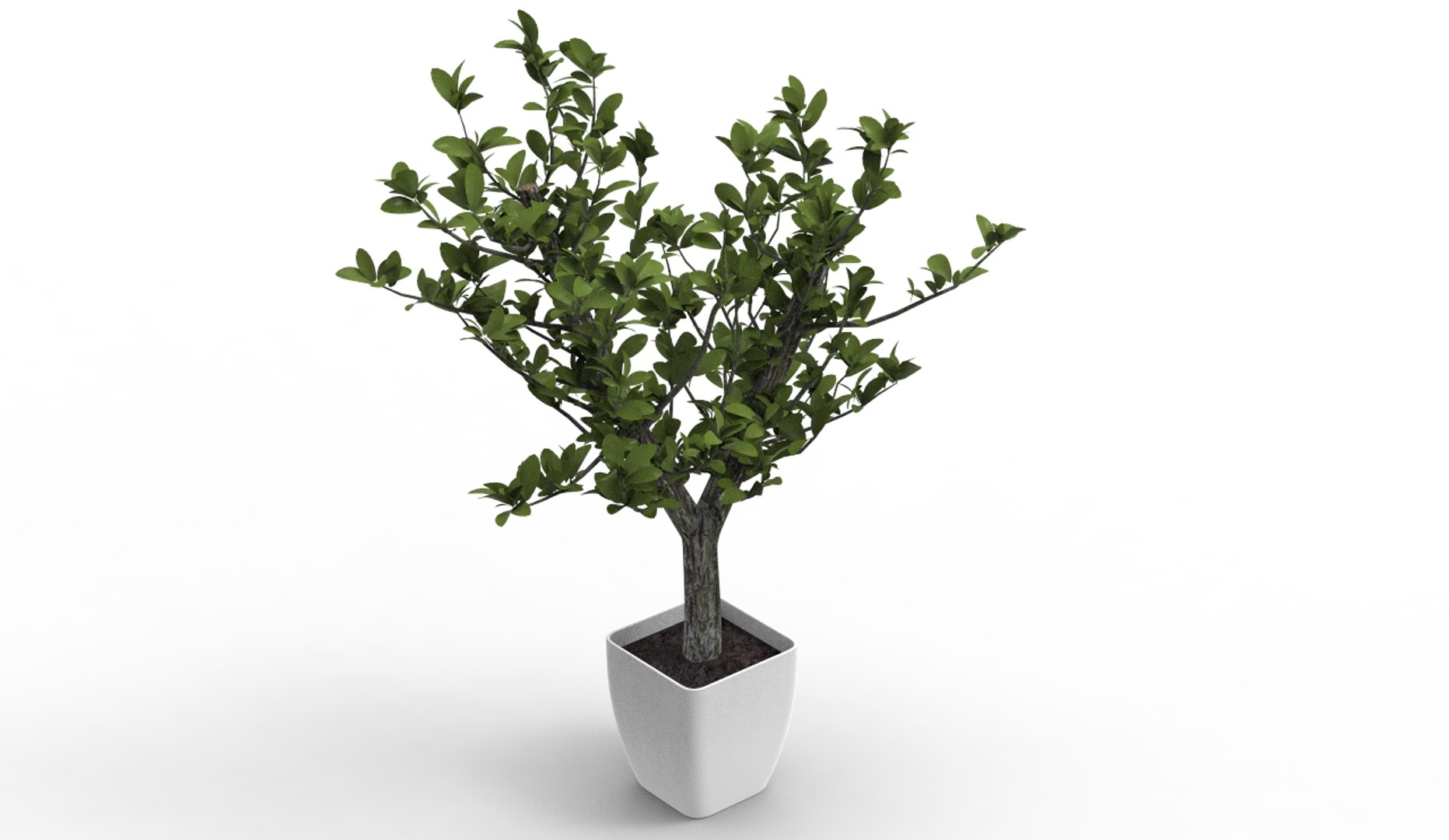 3D flower pot model - TurboSquid 1520340
