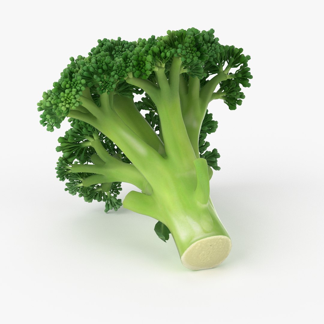 3d Realistic Broccoli Real Model