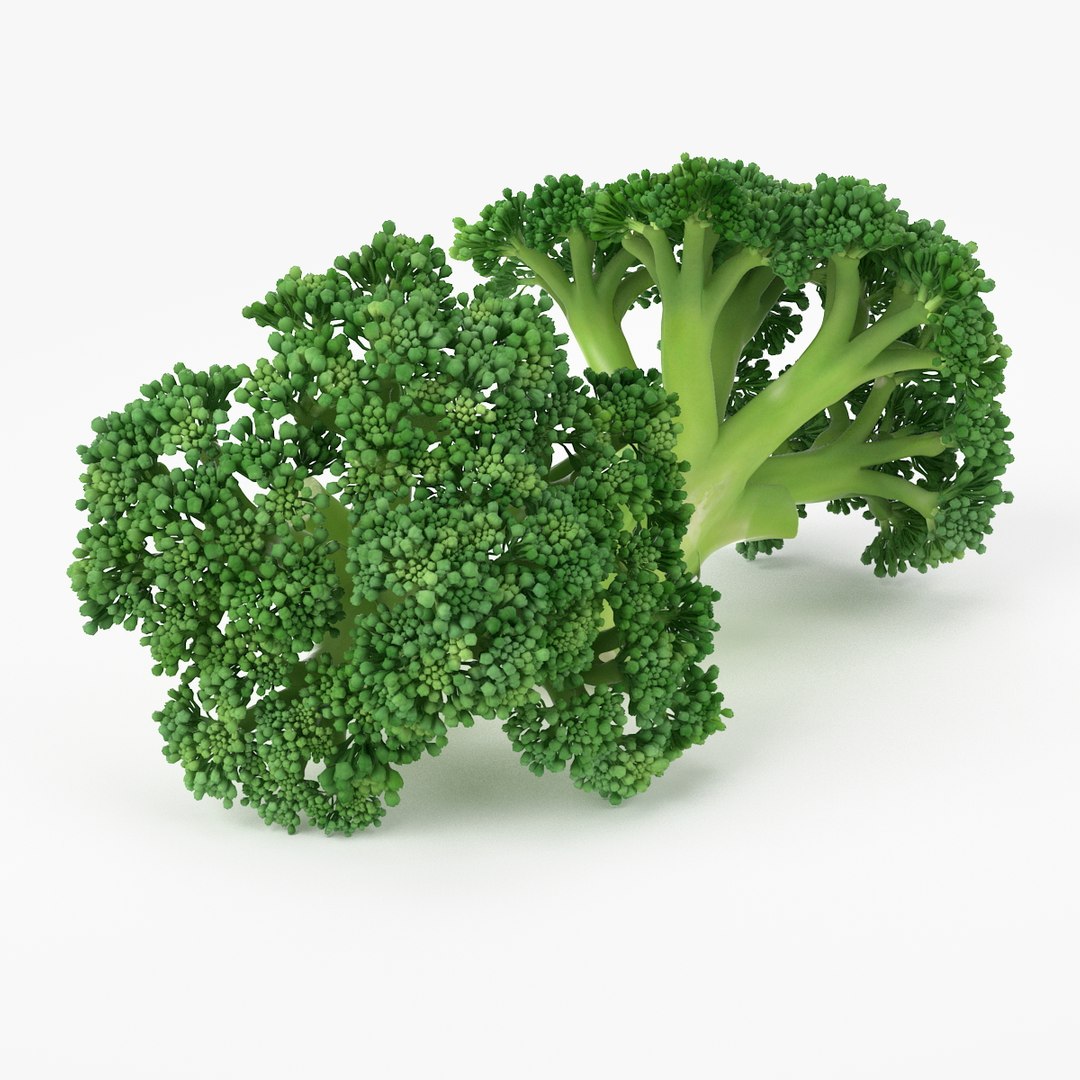 3d Realistic Broccoli Real Model