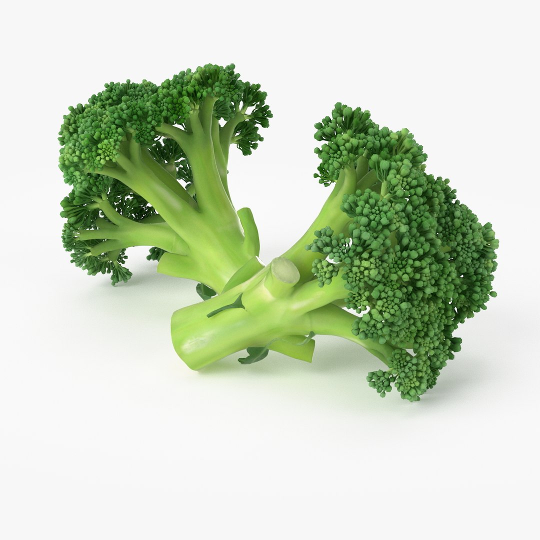 3d Realistic Broccoli Real Model
