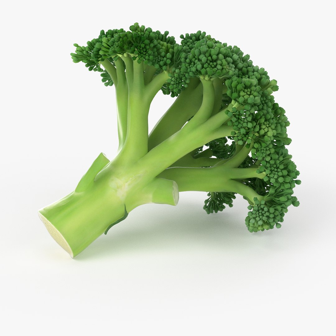 3d Realistic Broccoli Real Model