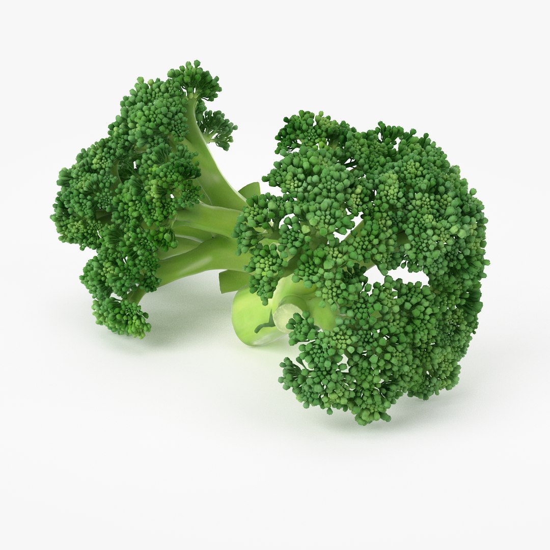 3d Realistic Broccoli Real Model