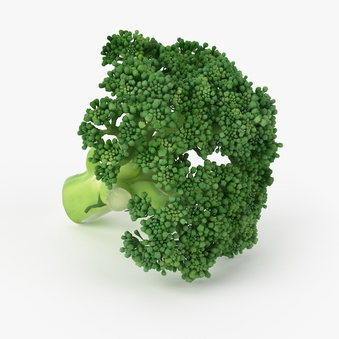 3d Realistic Broccoli Real Model