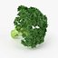 3d Realistic Broccoli Real Model