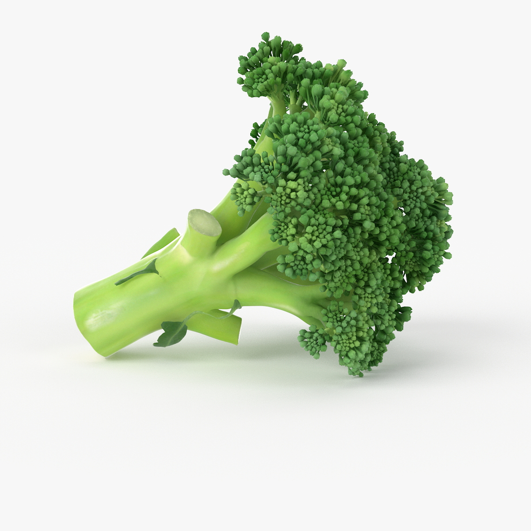 3d Realistic Broccoli Real Model