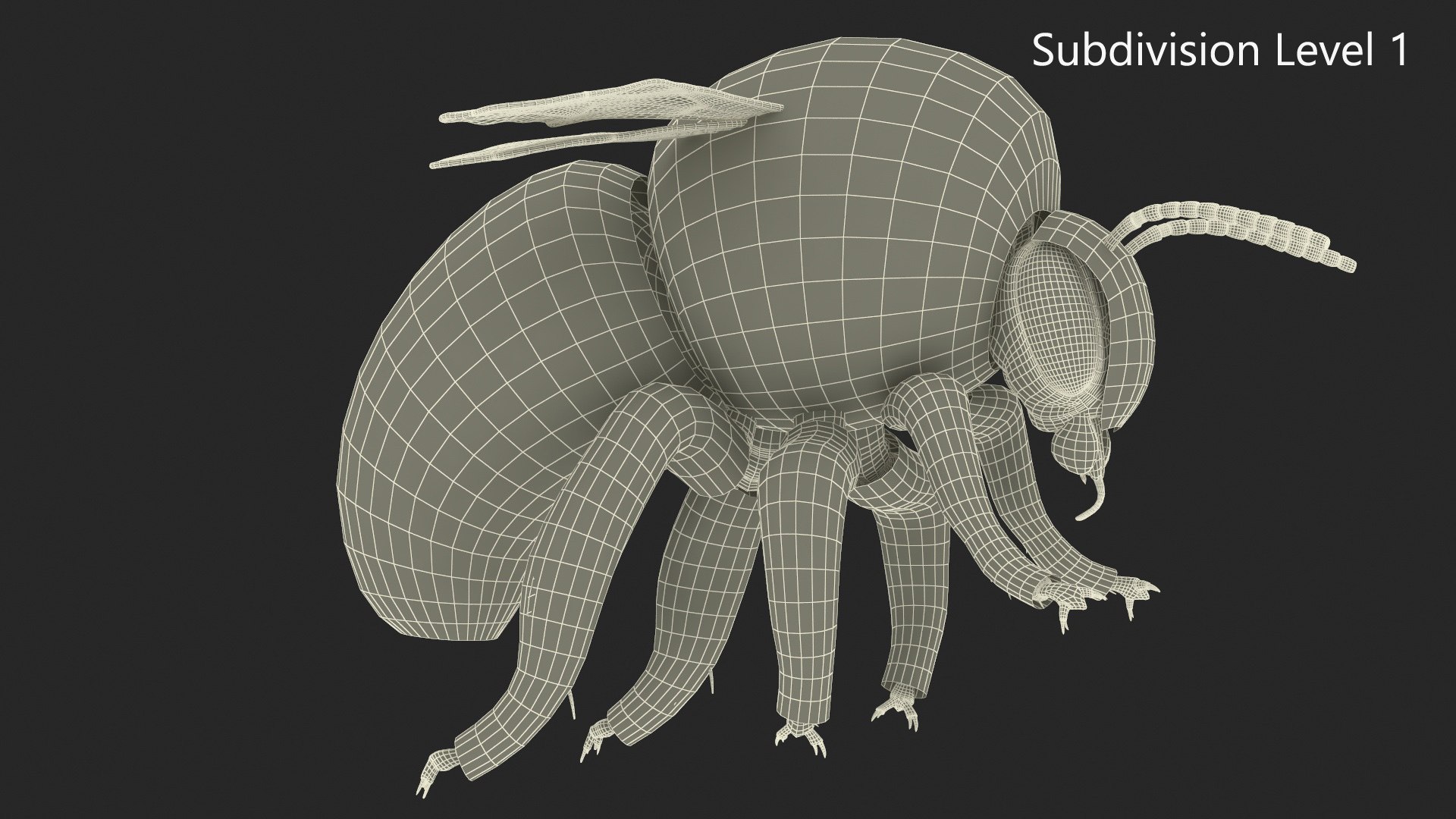 Realistic Bumblebee Insect Fur Rigged 3D - TurboSquid 2290416