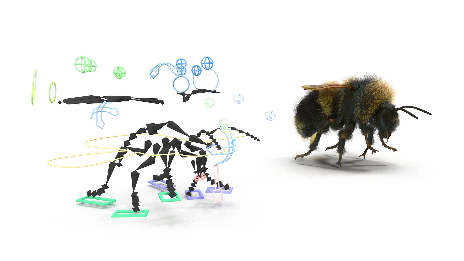 Realistic Bumblebee Insect Fur Rigged 3D - TurboSquid 2290416