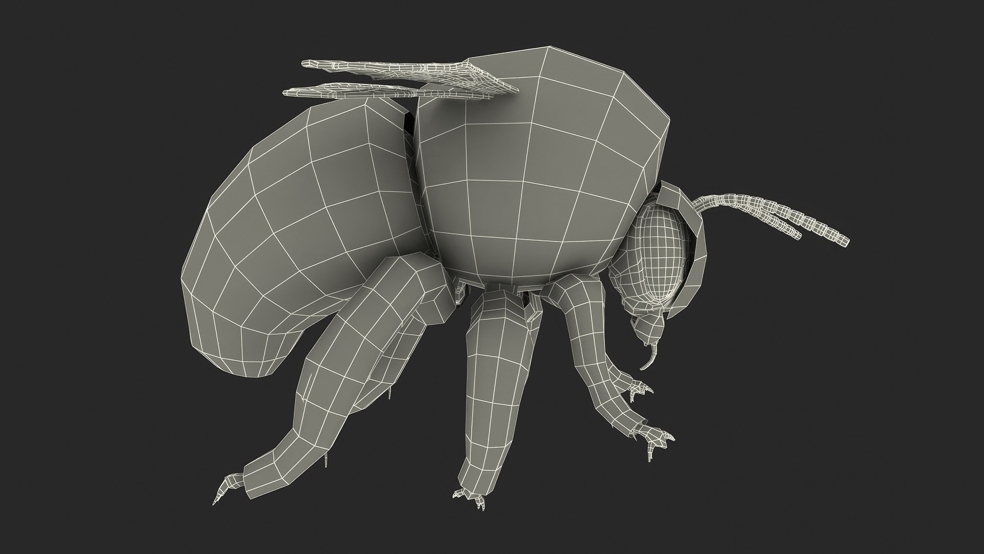 Realistic Bumblebee Insect Fur Rigged 3D - TurboSquid 2290416