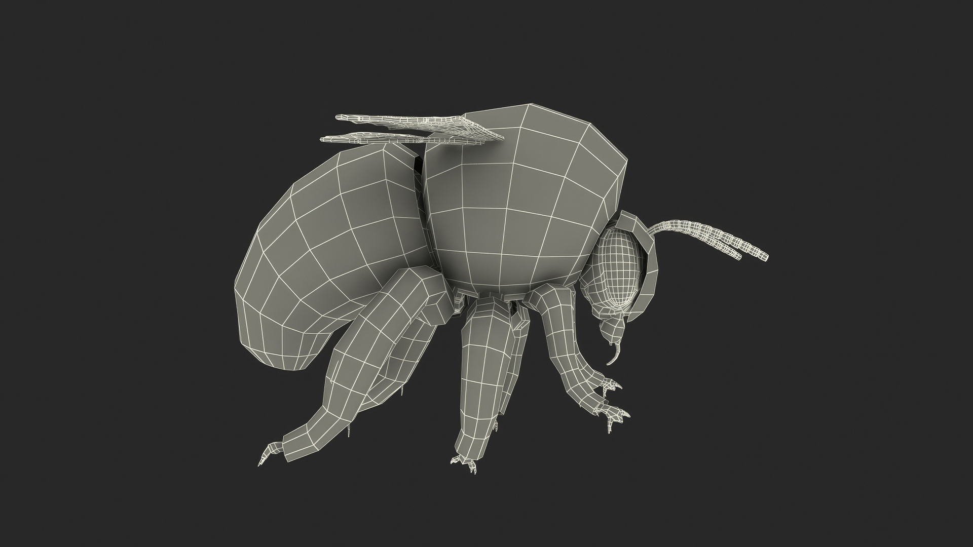 Realistic Bumblebee Insect Fur Rigged 3D - TurboSquid 2290416