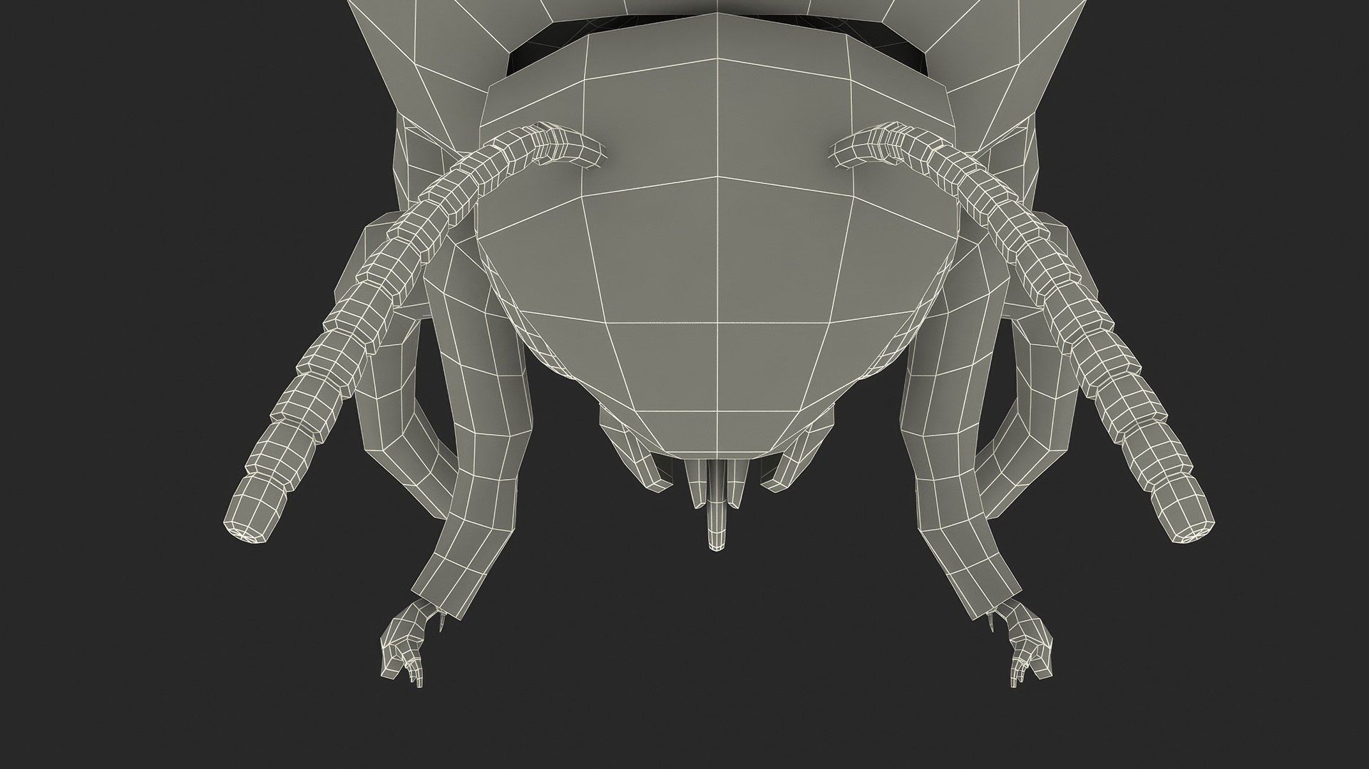 Realistic Bumblebee Insect Fur Rigged 3D - TurboSquid 2290416