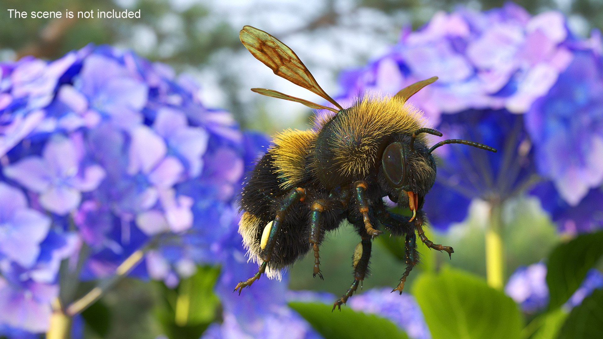 Realistic Bumblebee Insect Fur Rigged 3D - TurboSquid 2290416