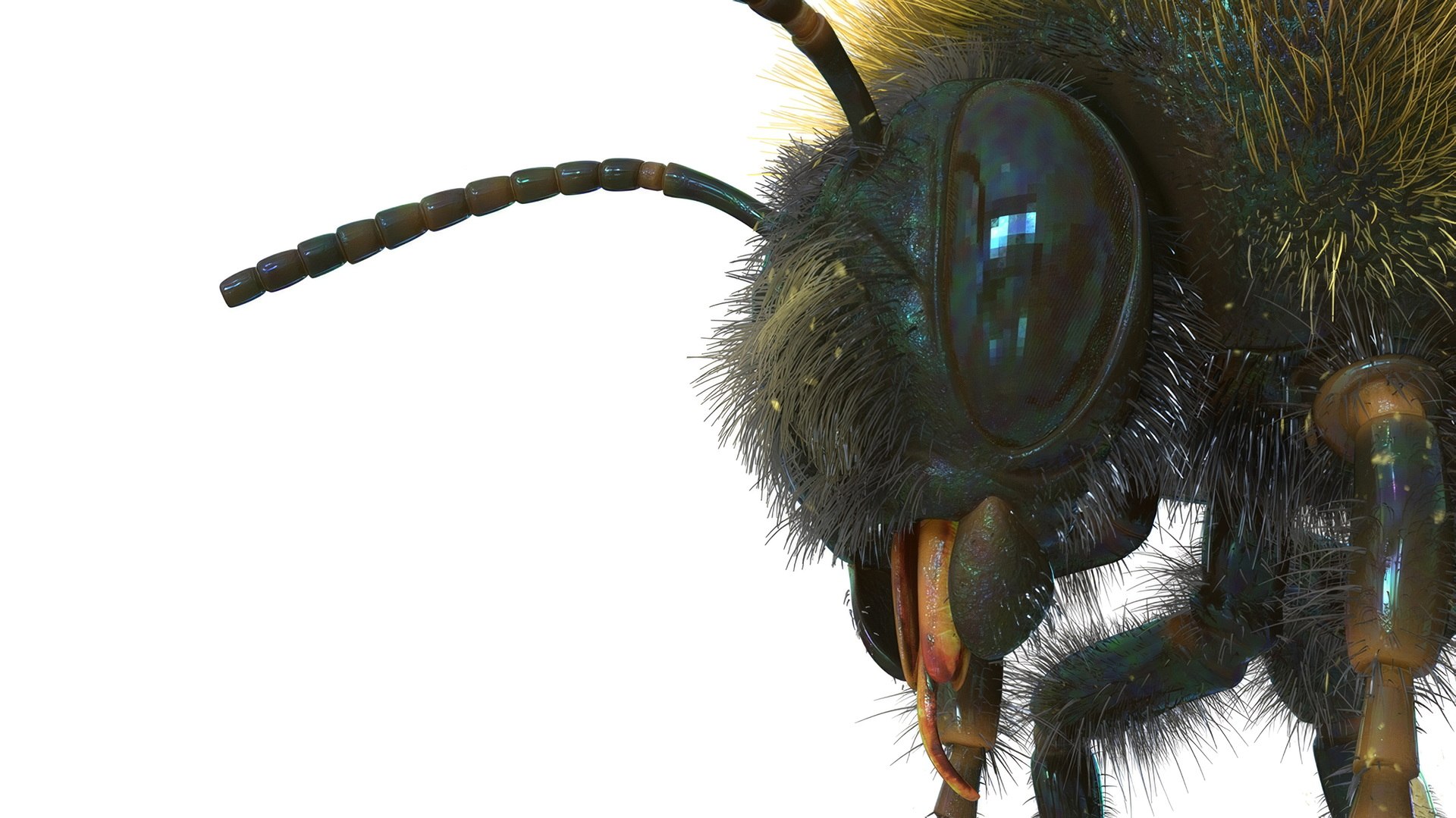 Realistic Bumblebee Insect Fur Rigged 3D - TurboSquid 2290416