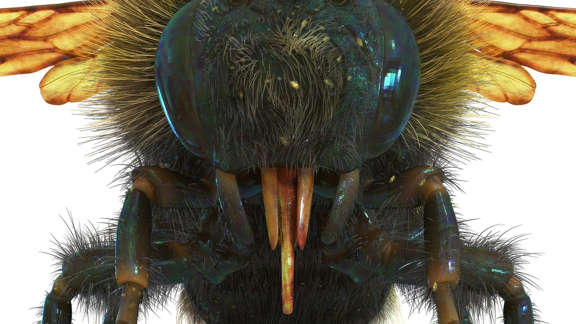 Realistic Bumblebee Insect Fur Rigged 3D - TurboSquid 2290416