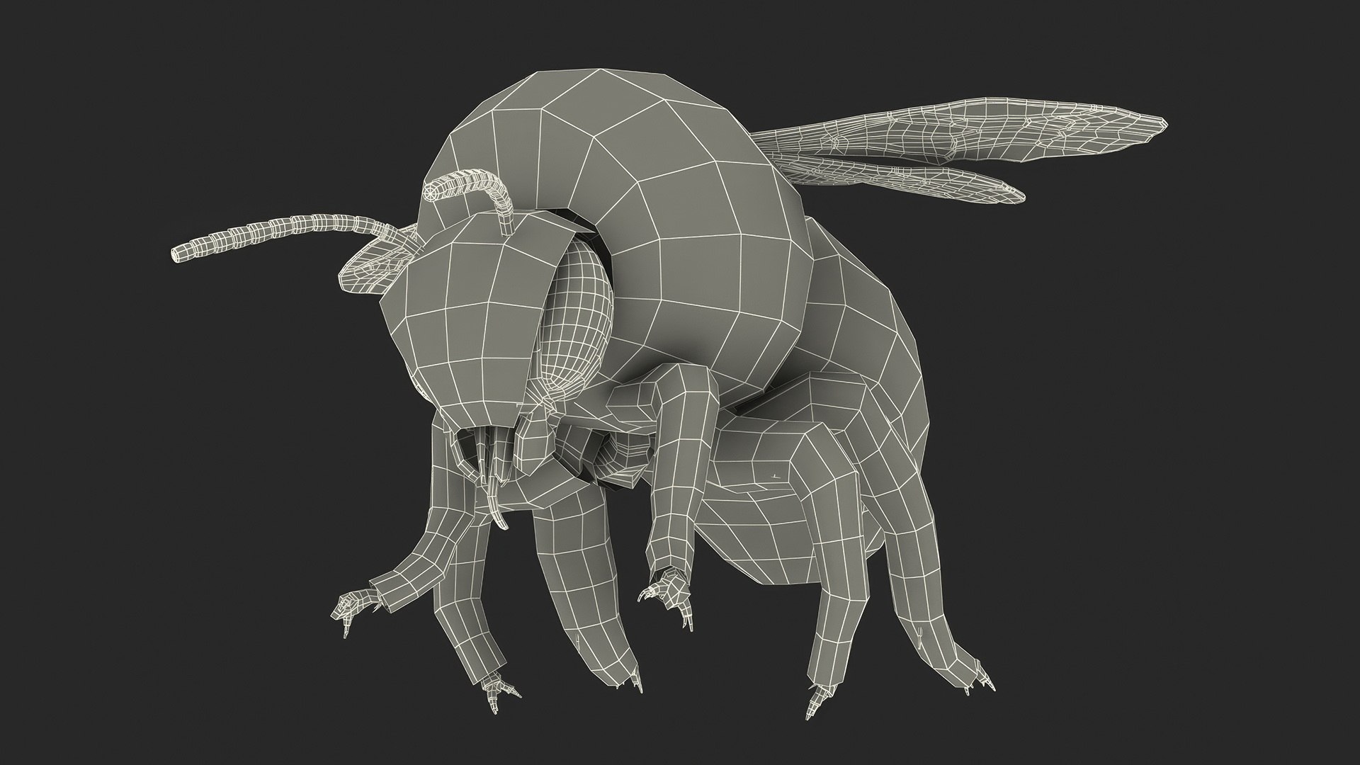 Realistic Bumblebee Insect Fur Rigged 3D - TurboSquid 2290416