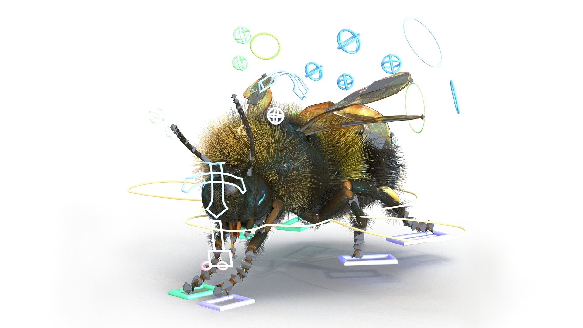 Realistic Bumblebee Insect Fur Rigged 3D - TurboSquid 2290416